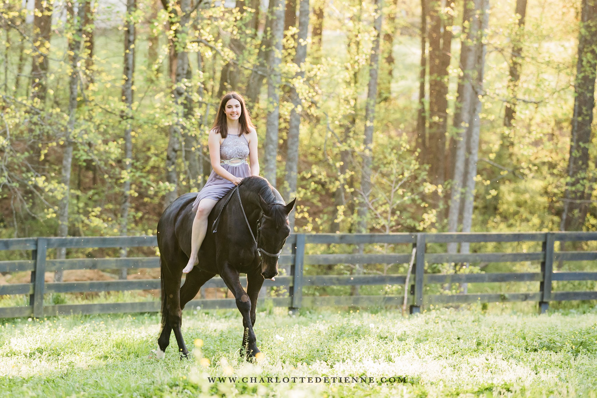 Eliza & Corey | Horse & Rider Portraits - Georgia Horse & Dog Photography